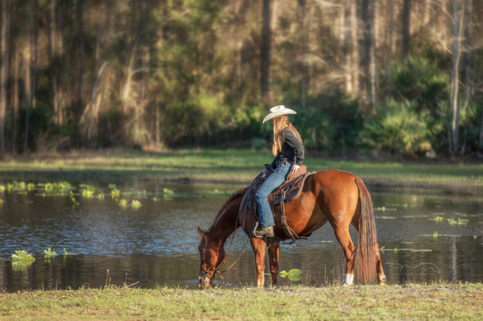 Learn Equine Photography Beginners Workshop - Cowgirls with Cameras